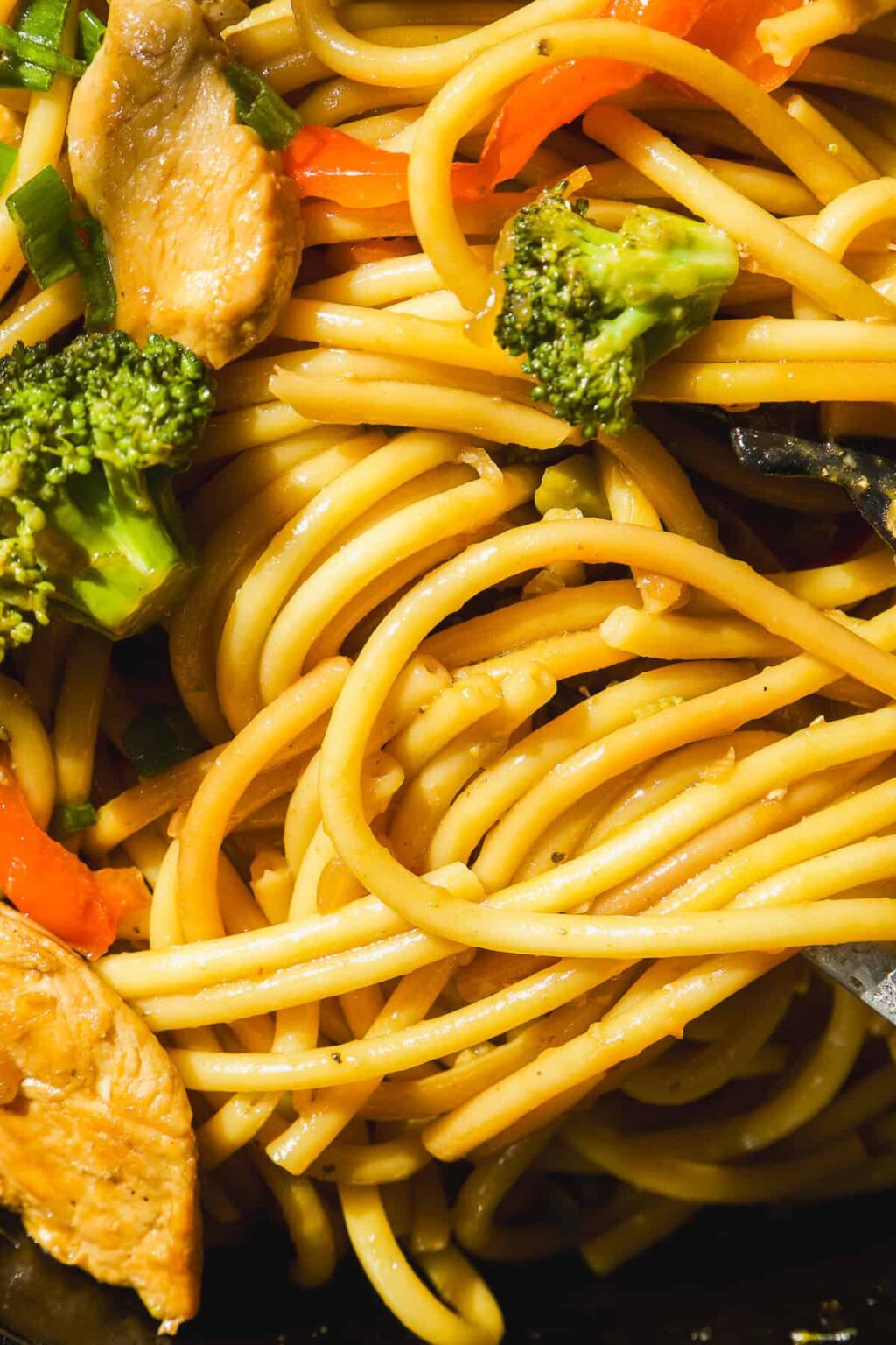 Healthy Homemade Chicken Lo Mein - The Fit Peach